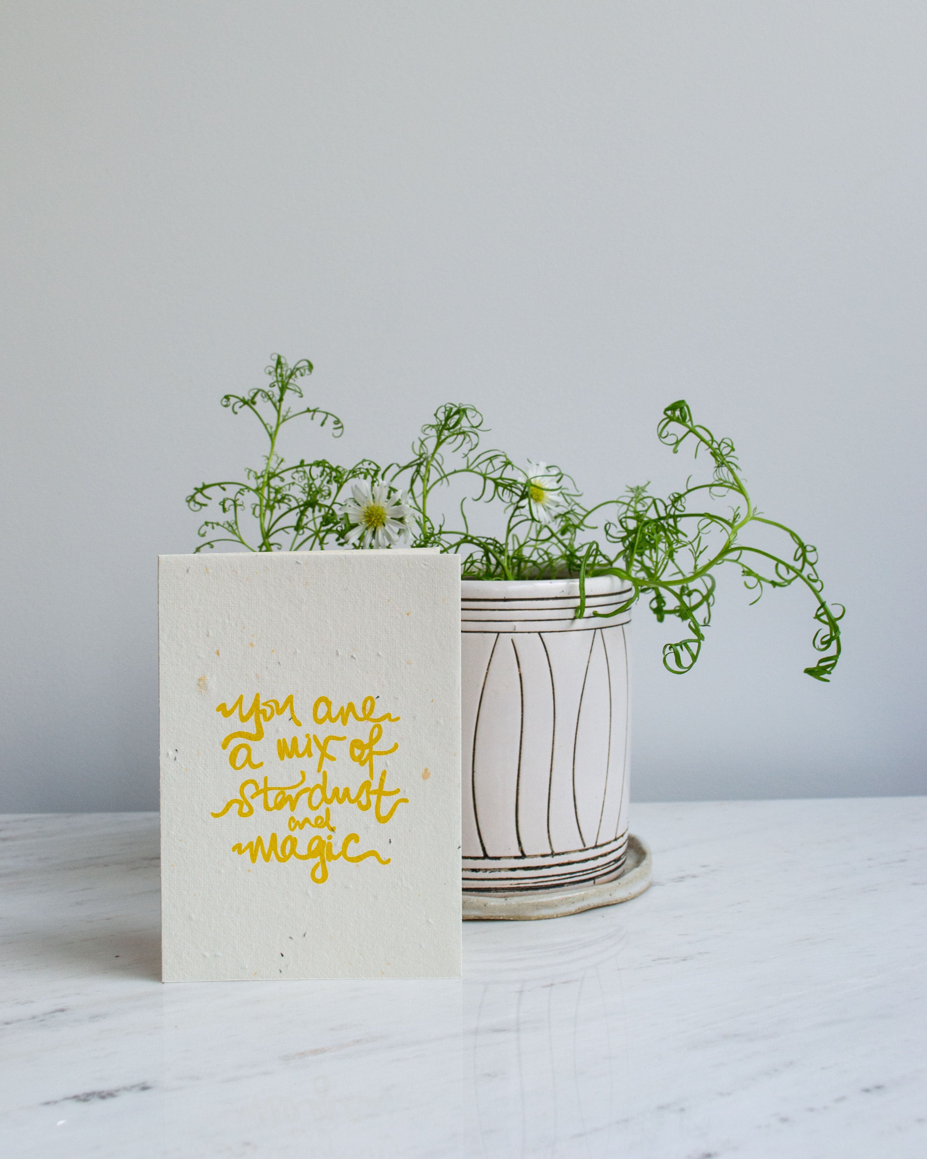 STARDUST (PINK OR YELLOW) – Studio Y Creative